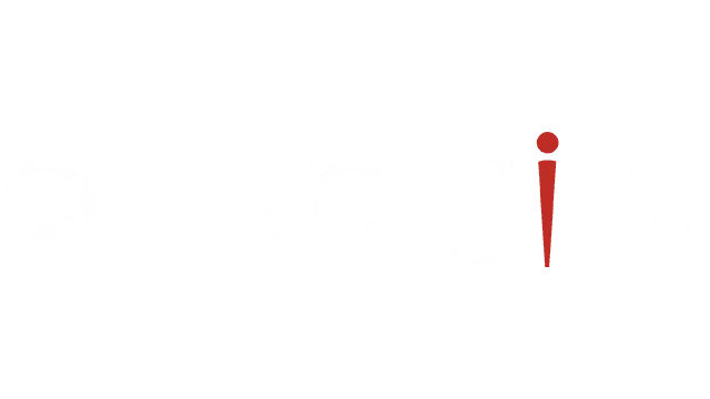 Convergint - A Global Service-Based Systems Integrator