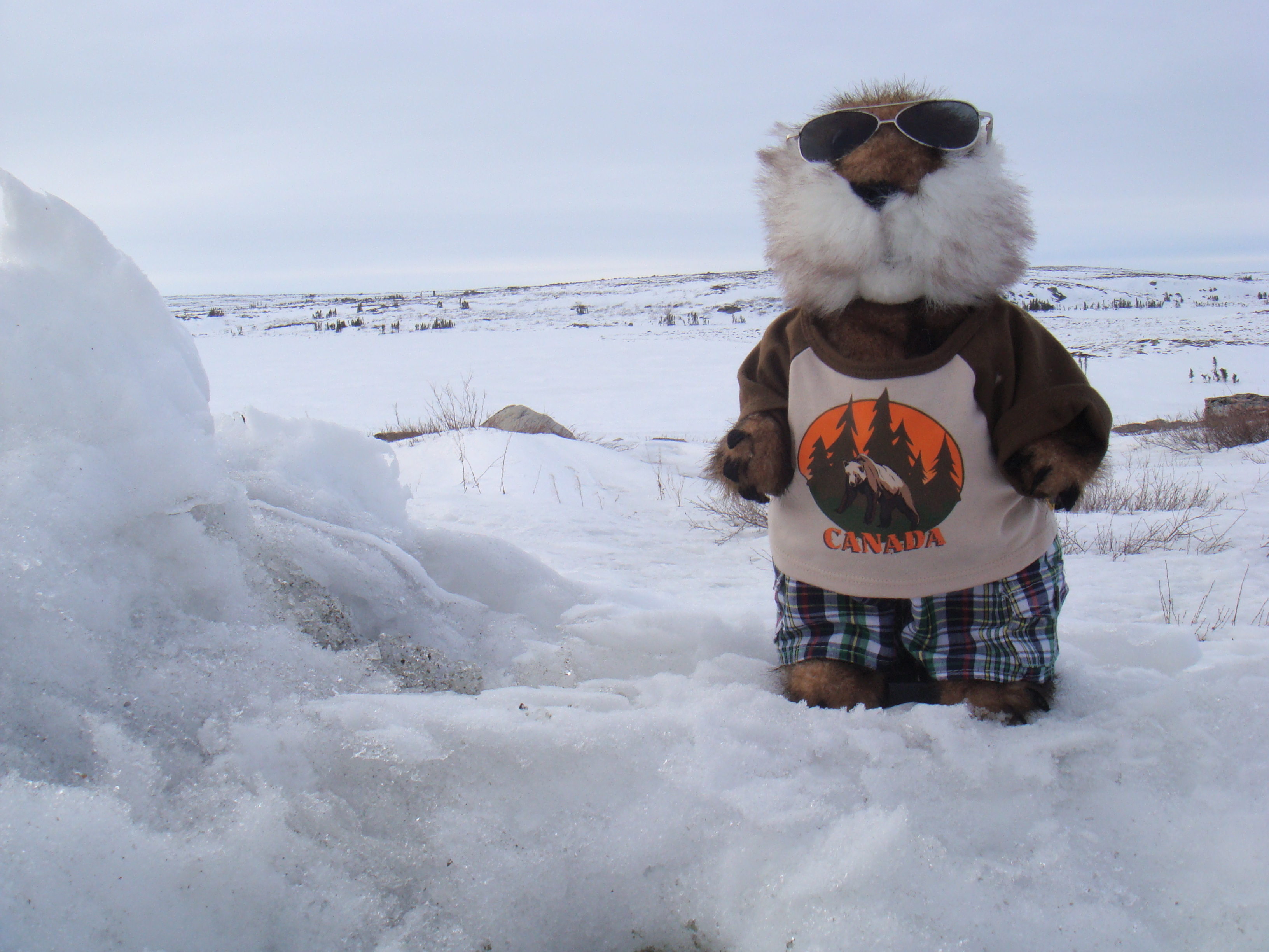 Career Opportunities - Convergint